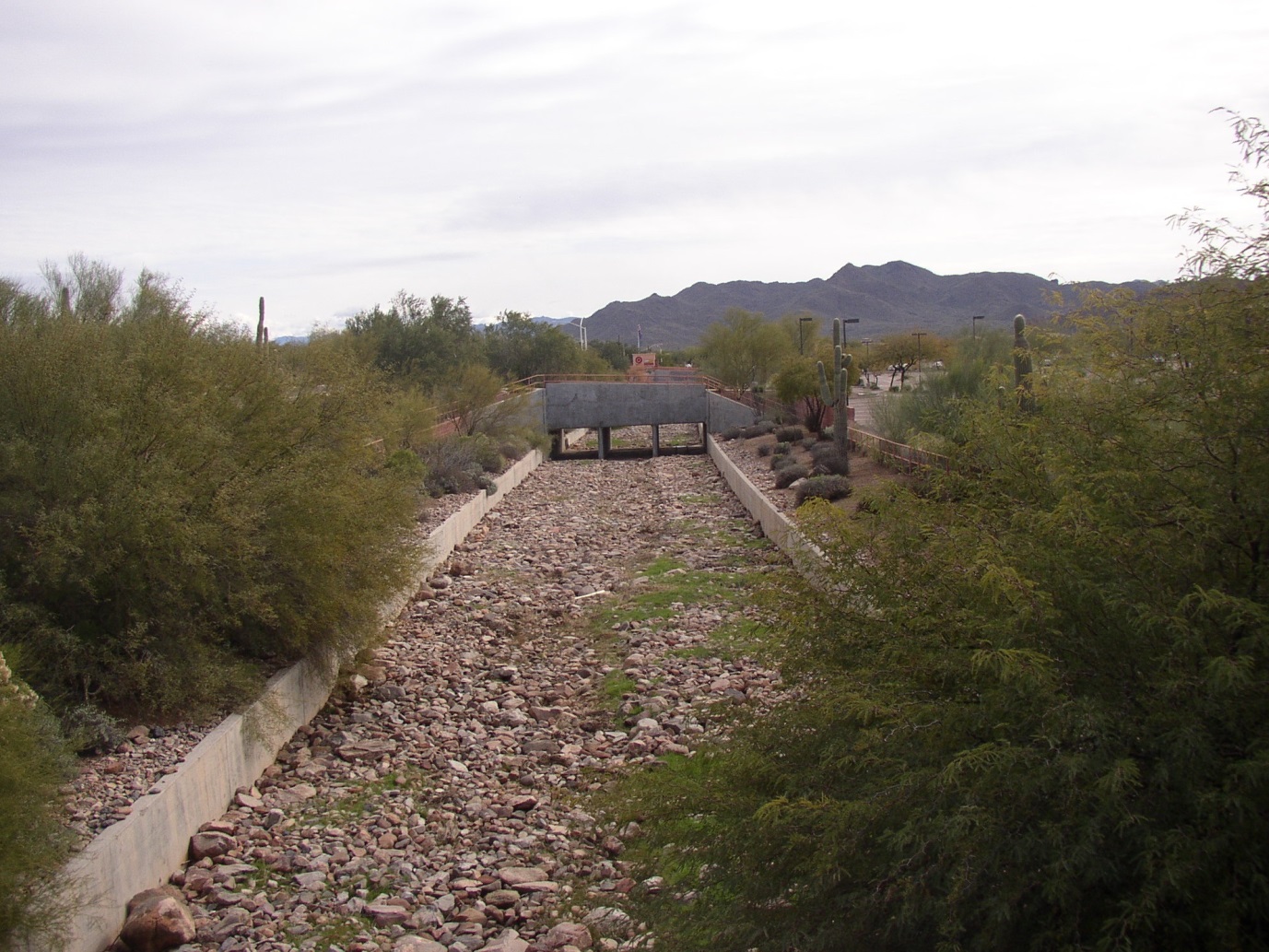 Do investigations of urban channel change prompt proactive channel ...