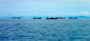 The fluid geographies of marine territorialisation processes ...