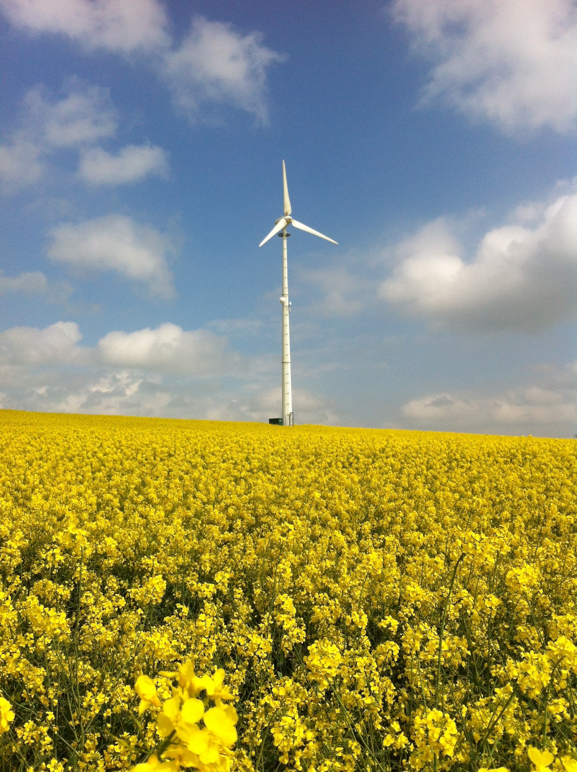 Decarbonisation clusters: the geological solution – Geography Directions