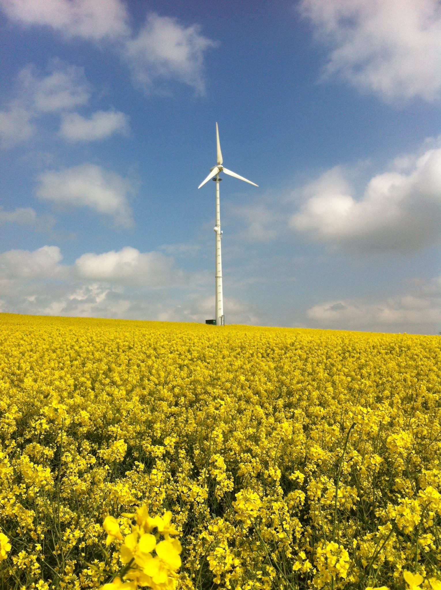 Decarbonisation clusters: the geological solution – Geography Directions