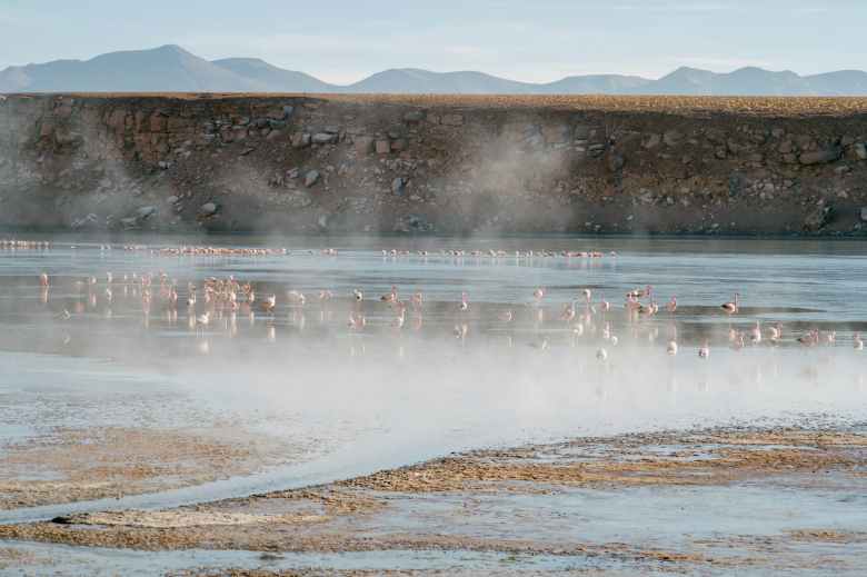 One-fifth of ecosystems in danger of collapse – here’s what that might ...