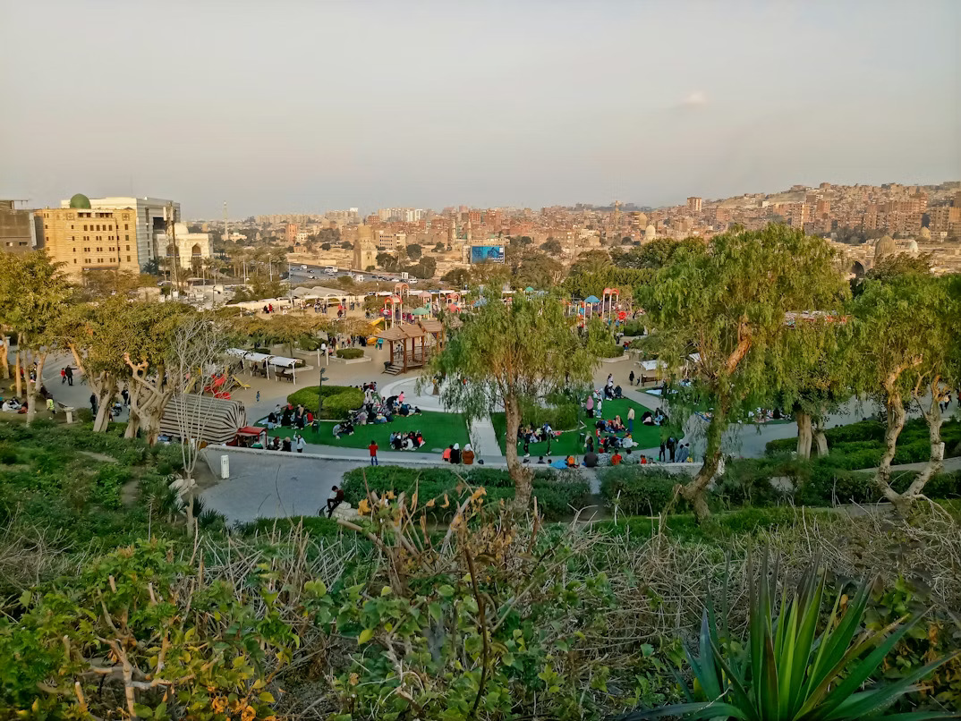 When green space becomes a product: commercialisation and the fragile ...